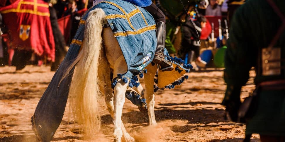 Complete Guide to the Scottsdale Arabian Horse Show | SWSS
