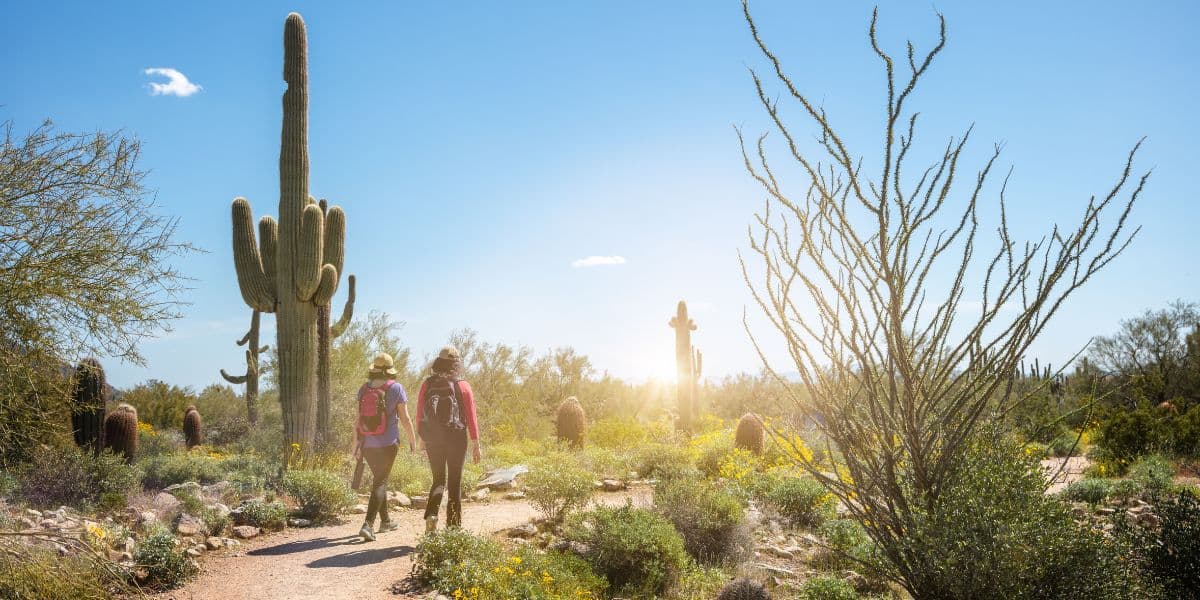 7 Best Country Bars With Dancing in Phoenix Arizona | SWSS