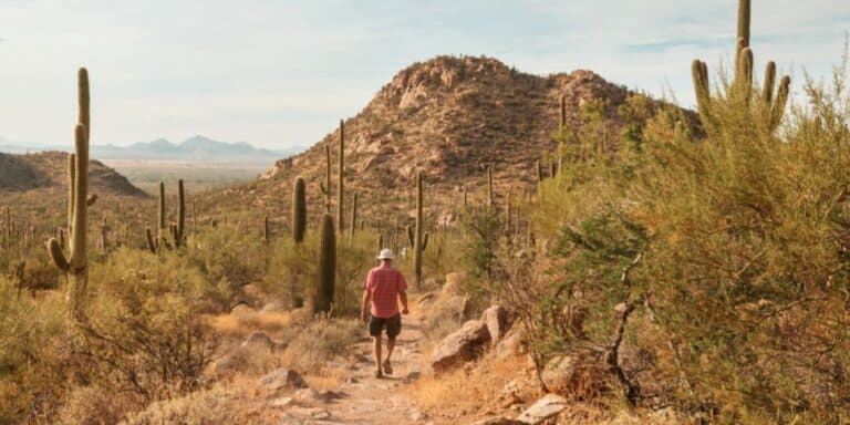 Hiking Guide To The Gateway Loop Trail Scottsdale | SWSS