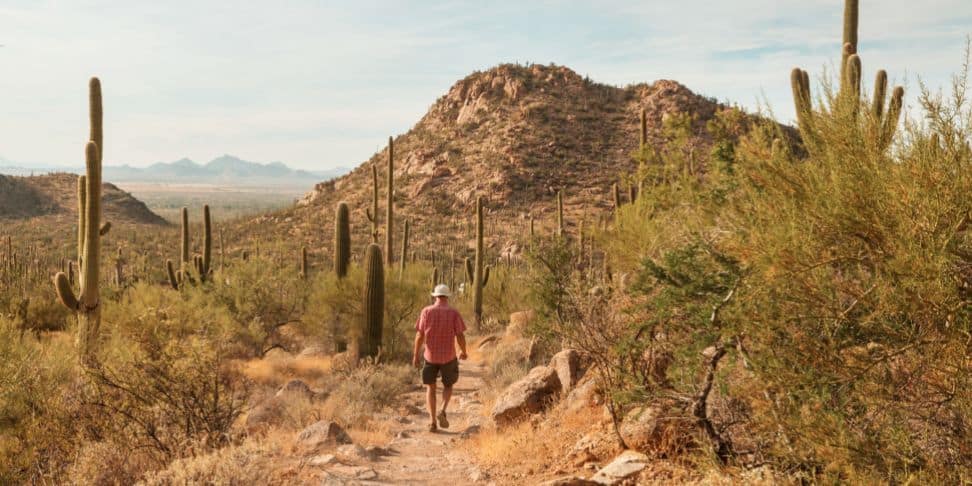 Hiking Guide To The Gateway Loop Trail Scottsdale | SWSS